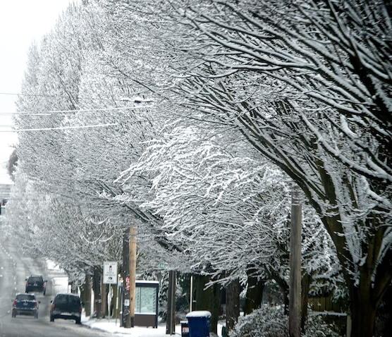 White Christmas expected for the first time in nine years | Westside ...
